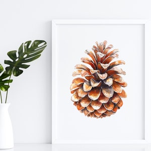 32 Watercolor Pine Cones Clipart, Fall Clipart, PNG Individual Images ...
