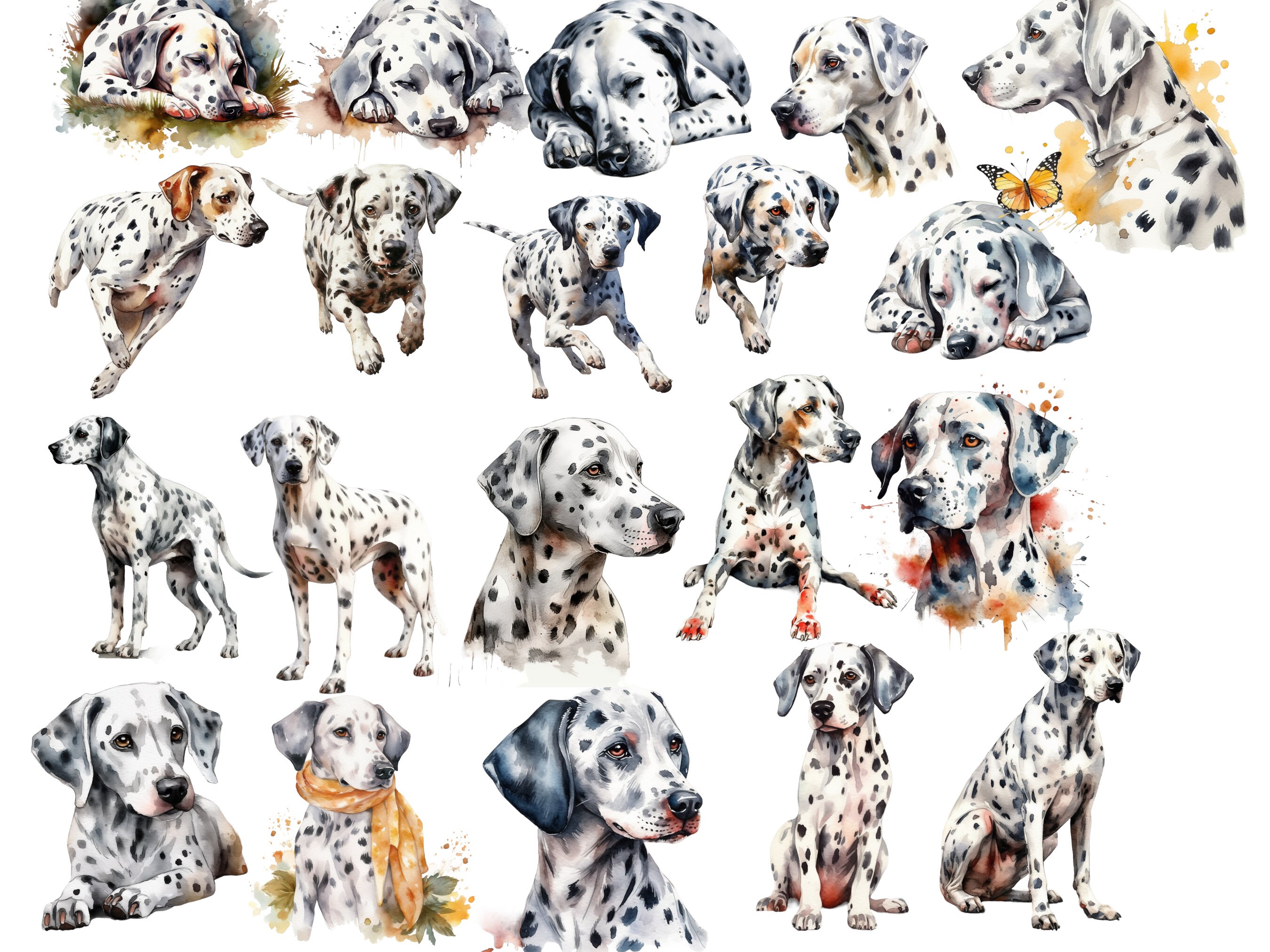 Watercolor Dalmatians Clipart PNG Digital Files on - Etsy
