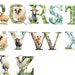 Sheep Alphabet , Transparent Background, High Quality, Clipart, 12x12 ...