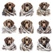 34 Snuggly German Shorthaired Pointers Watercolor Clipart, Pets Clipart ...
