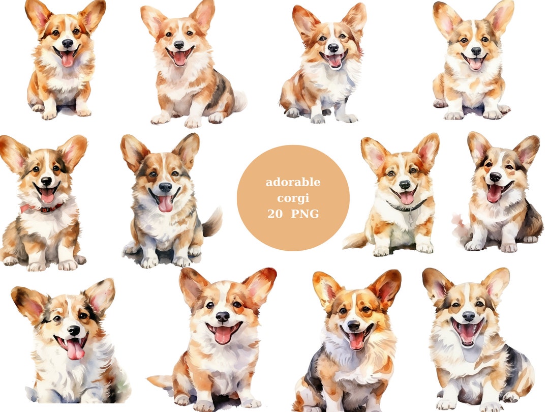20 Adorable Corgi Watercolor Clipart, Cute Dogs Clipart, PNG Individual ...