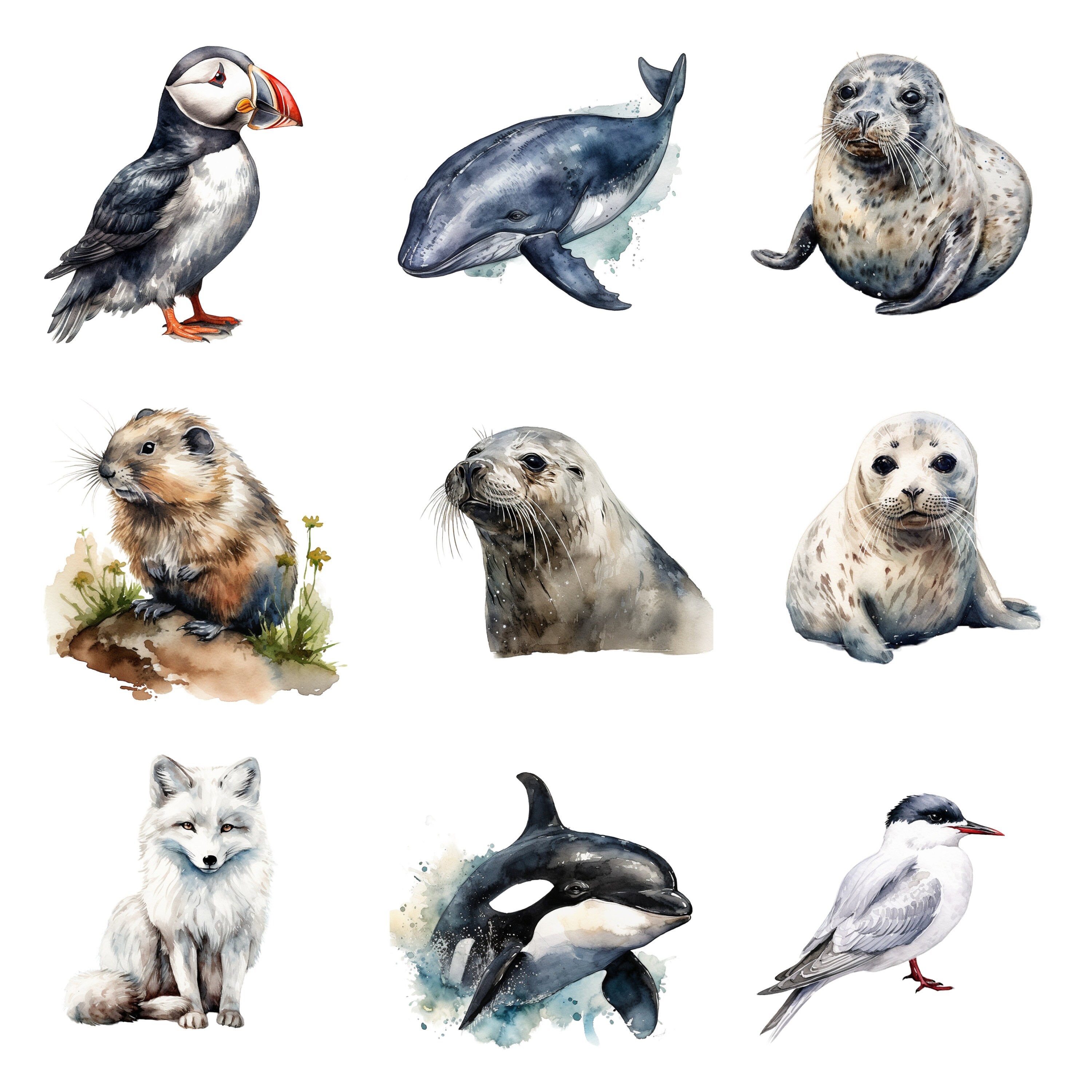 Watercolor Arctic Animals Clipart PNG Images Instant - Etsy