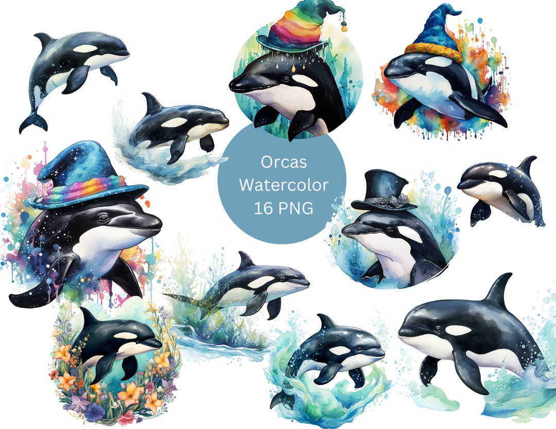 Watercolor Orcas Clipart, Killer Whales Clipart, PNG Digital Files on ...