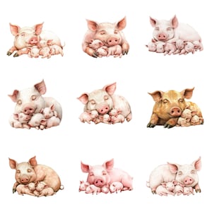 Mother Pig and Piglets Clipart - 33 Adorable Farm Animal Family PNG ...