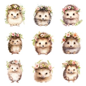 20 Cute Hedgehogs Watercolor Clipart, Woodland Clipart, Cute Animals ...