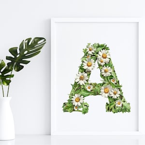 Daisy Flower Alphabet, Letters Png, Alphabet Png, Instant Download for ...