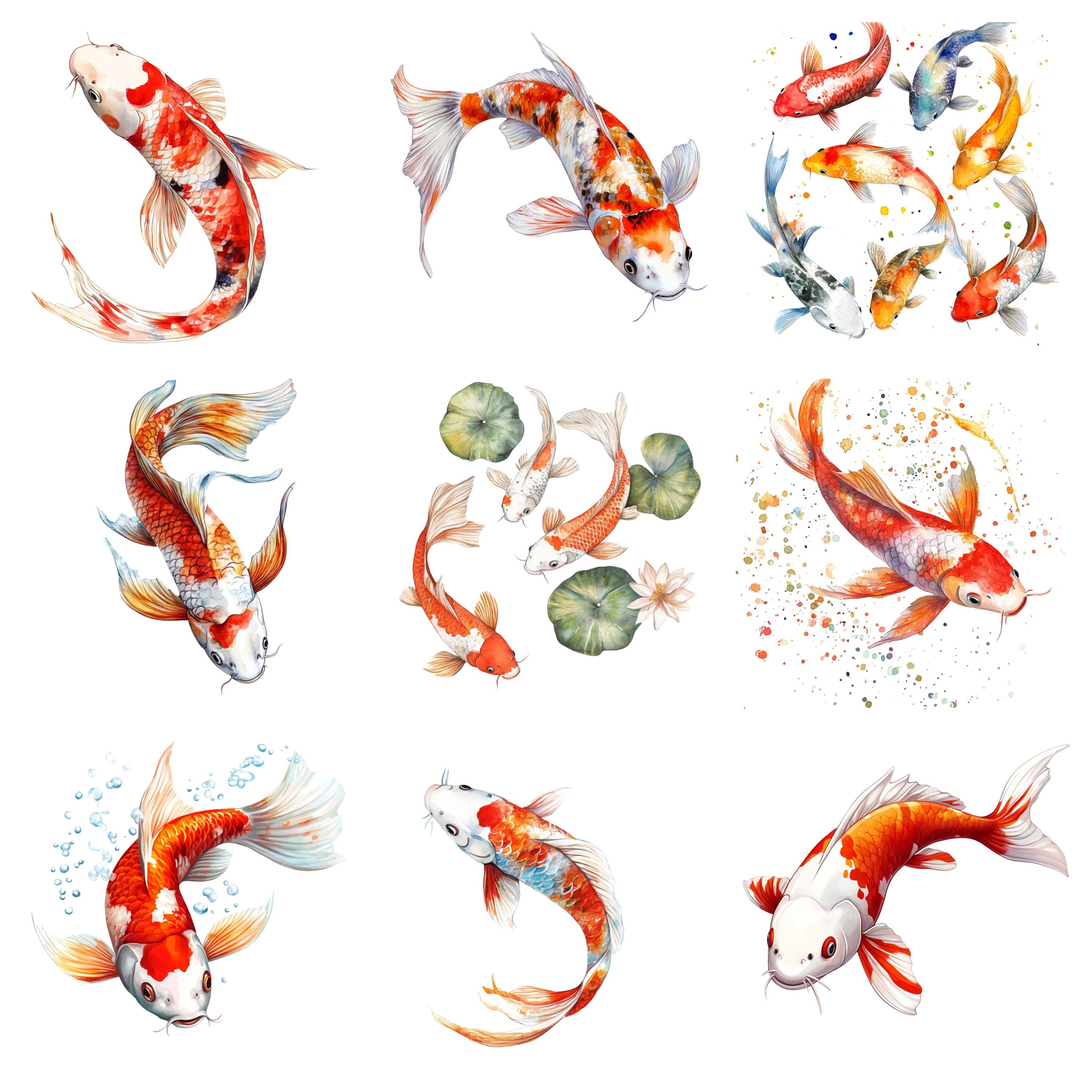 32 Koi Fish Watercolor Clipart, PNG Digital Files on Transparent ...