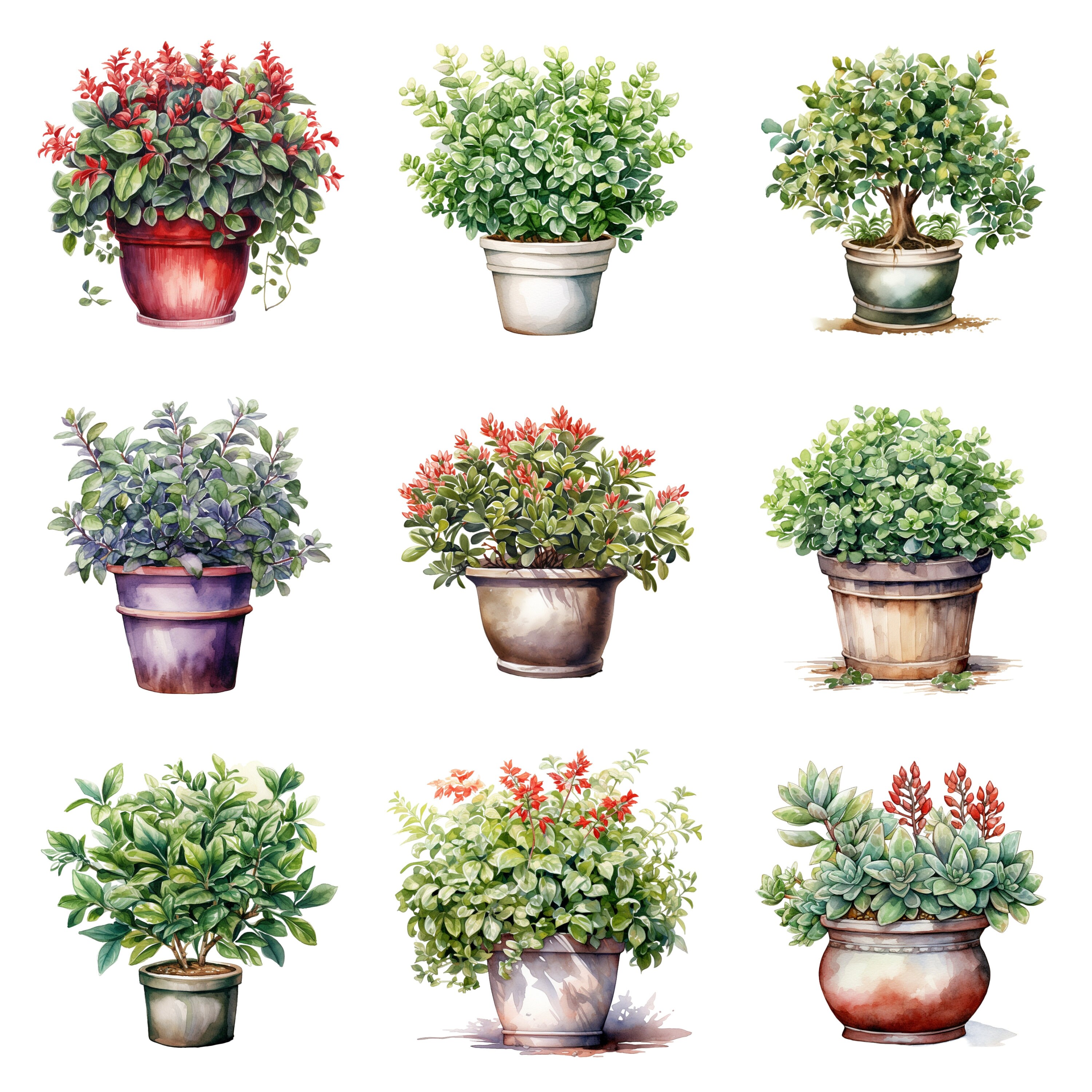 Watercolor Plants in Pots Clipart PNG Digital Files on - Etsy