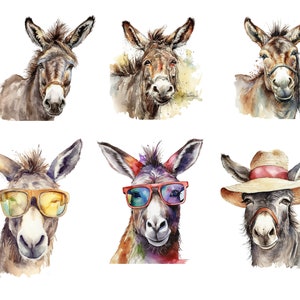 Donkeys Bundle, Watercolour, 30 Cute PNG Images, Transparent Background ...