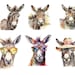 Donkeys Bundle, Watercolour, 30 Cute PNG Images, Transparent Background ...