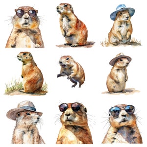 Watercolor Prairie Dogs Clipart, PNG Digital Files on Transparent ...