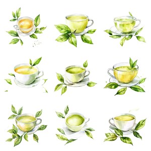 13 Green Tea Watercolor Clipart, PNG Digital Files on Transparent ...