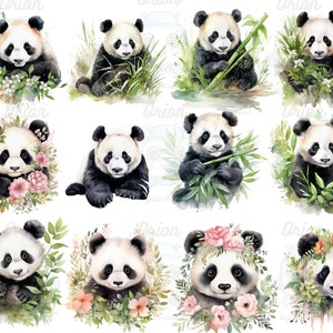 Watercolor Panda Bears Clipart, PNG Digital Files on a Transparent ...