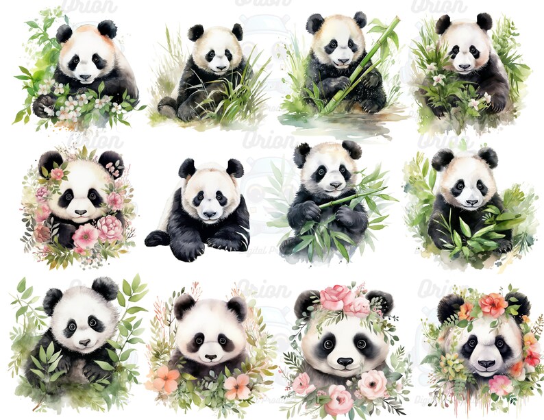 Watercolor Panda Bears Clipart, PNG Digital Files on a Transparent ...