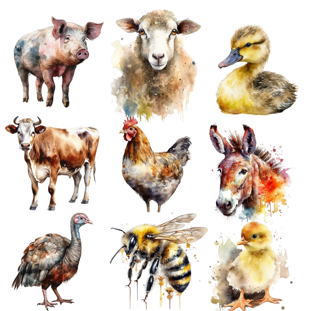 Farm Animals Bundle, Watercolor, 21 Beautiful PNG Images, Transparent ...