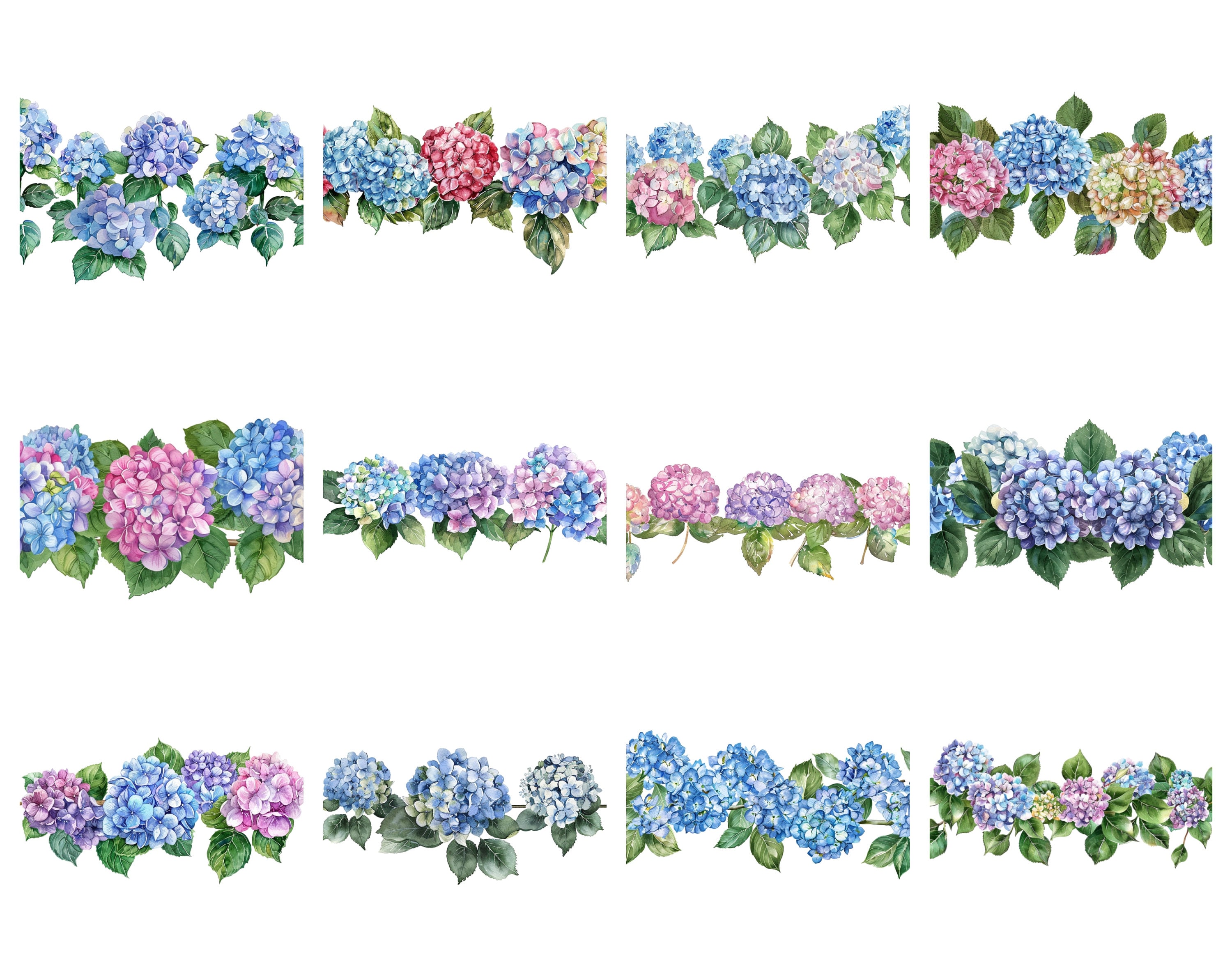 43 Hydrangeas Borders Watercolor Clipart, Floral Clipart, PNG Digital ...