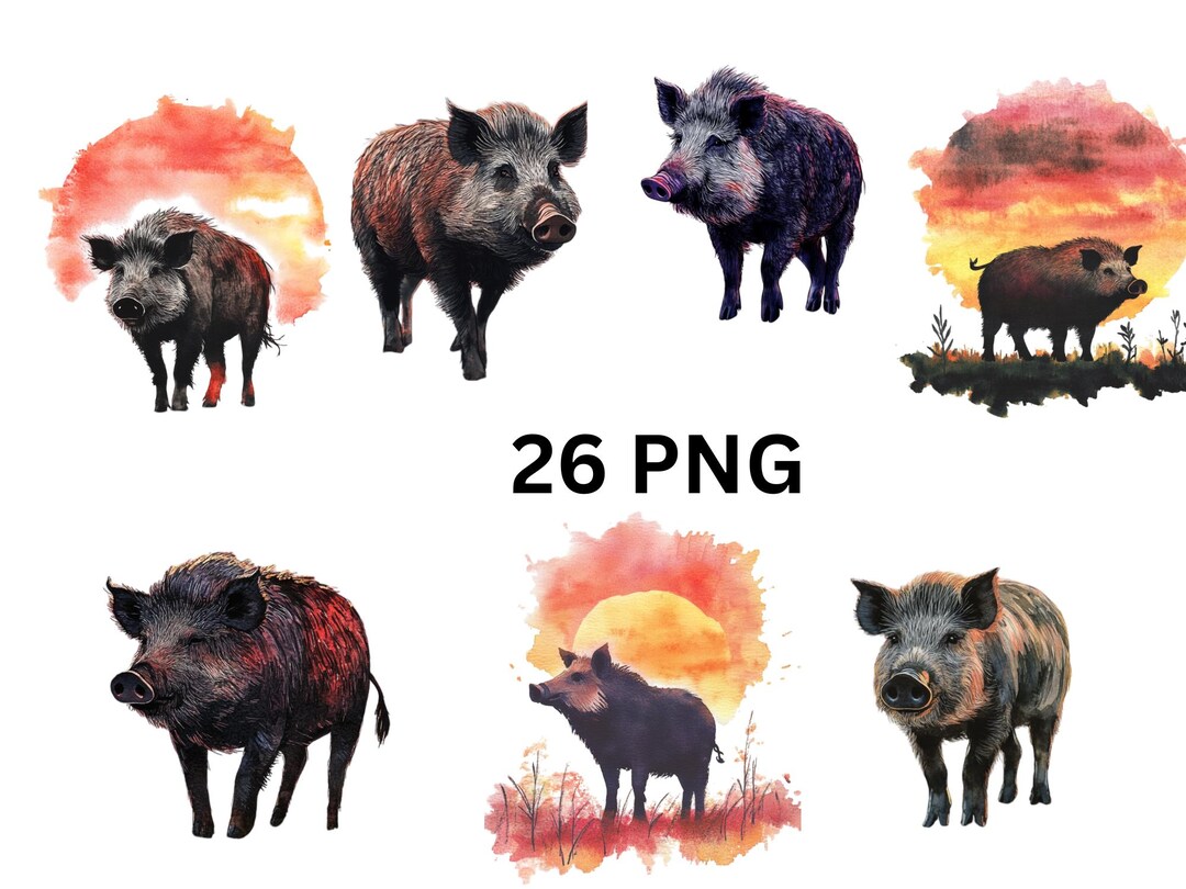Wild Boar Sunset Clipart Collection - 26 PNG Illustrations of Wild ...