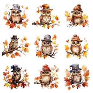 37 Owl With Hats Watercolor Clipart, Fall Owls, Fall Clipart, PNG ...