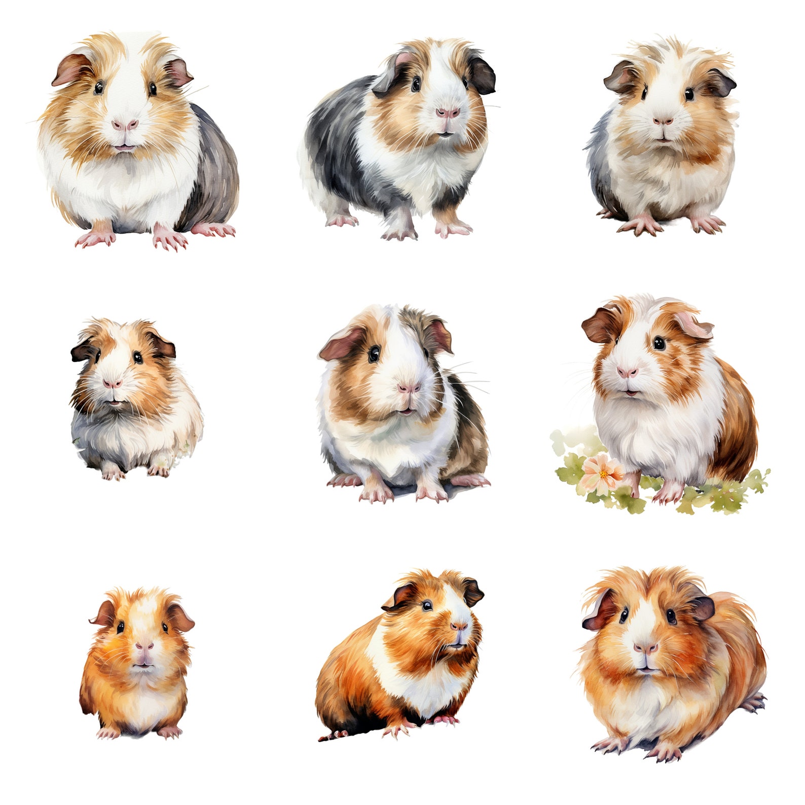 Watercolor Guinea Pigs Clipart, PNG Digital Files on Transparent ...