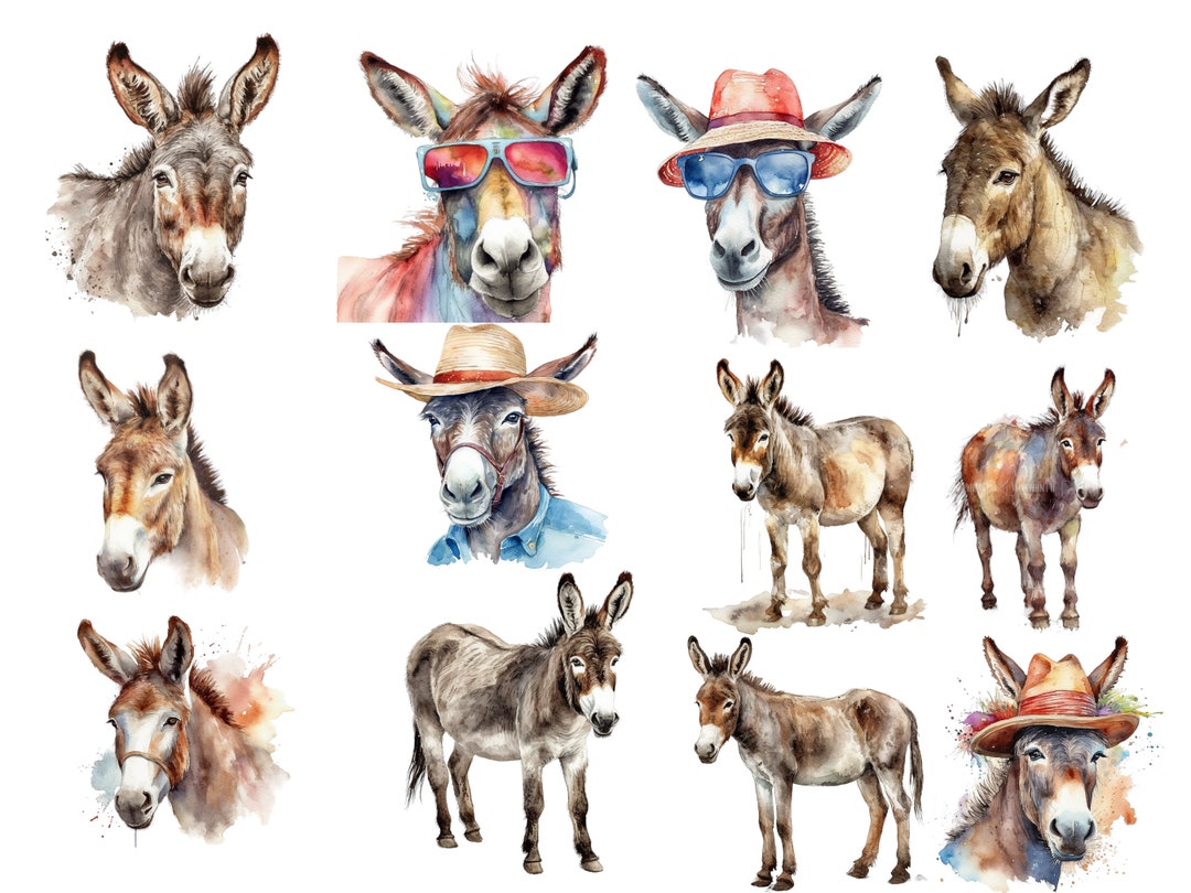 Donkeys Bundle, Watercolour, 30 Cute PNG Images, Transparent Background ...