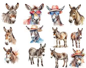 30 Cute Donkeys Clipart Pack INSTANT DOWNLOAD 30 Adorable Donkey Illustrations, PNG Transparent ...