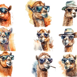 Camels Clipart Bundle, Watercolour, Clipart, 20 Cute PNG Images, High ...