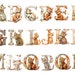 Watercolor Cat Alphabet Clipart, Cat Letters PNG Digital Files on ...