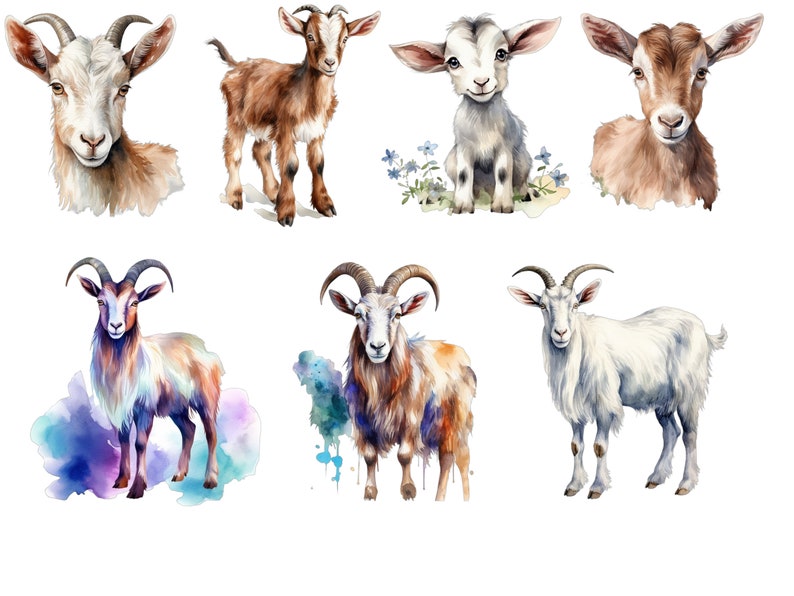 Watercolor Goat Clipart, Transparent Background, High Quality, Clipart ...
