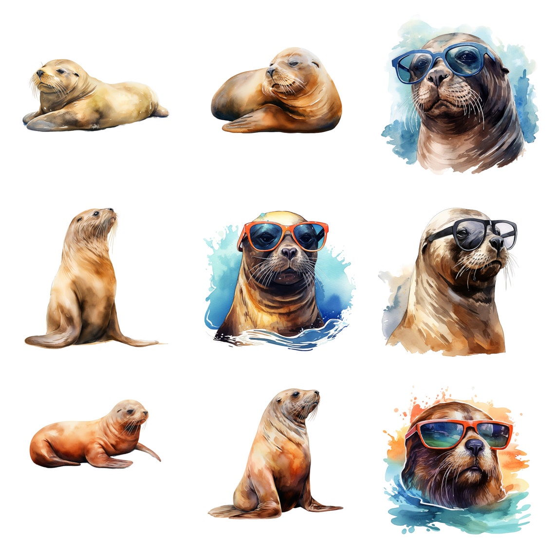 Watercolor Sea Lions Clipart PNG Digital Files on Transparent - Etsy