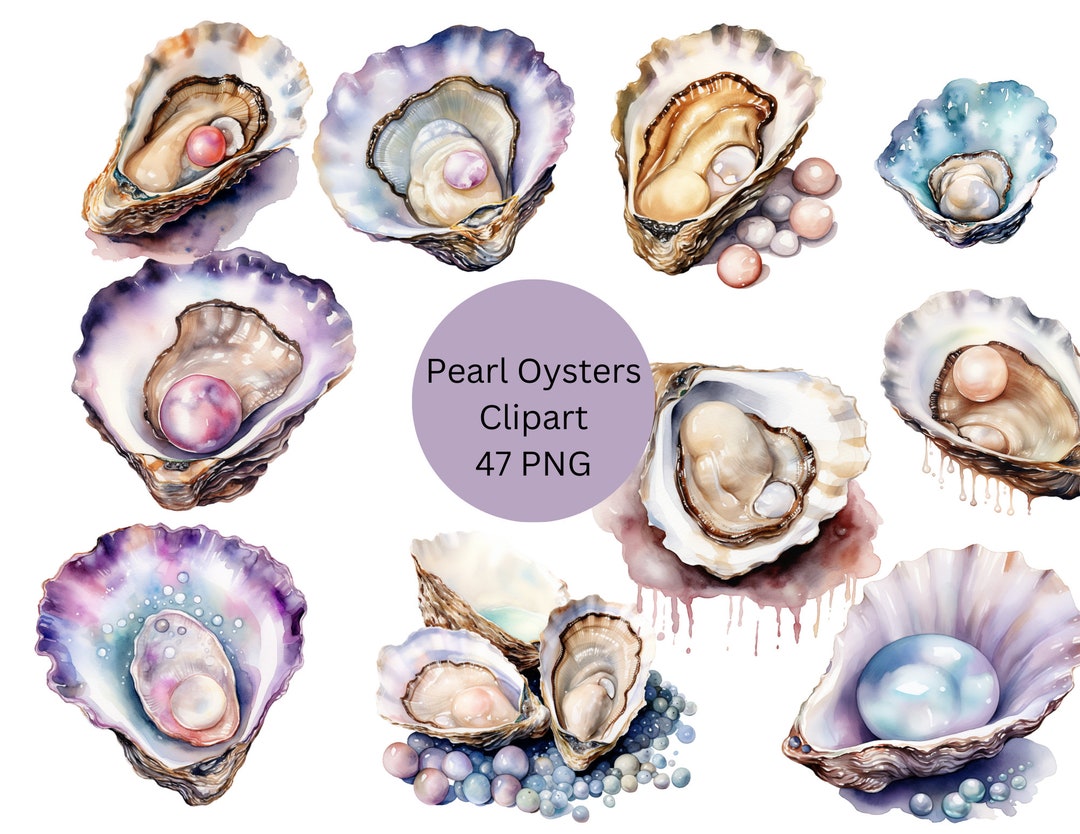 Watercolor Pearl Oysters Clipart, PNG Digital Files on Transparent ...