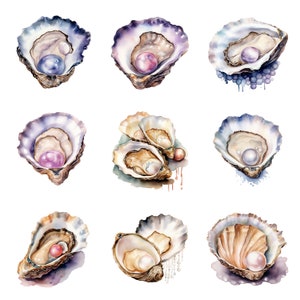 Watercolor Pearl Oysters Clipart, PNG Digital Files on Transparent ...