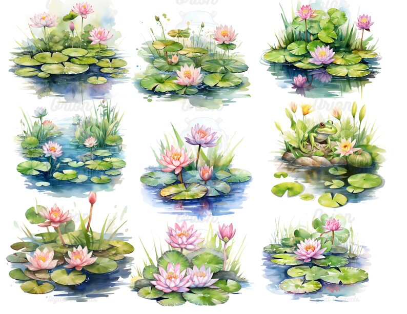 Watercolor Lily Ponds Clipart, PNG Digital Files on a Transparent ...