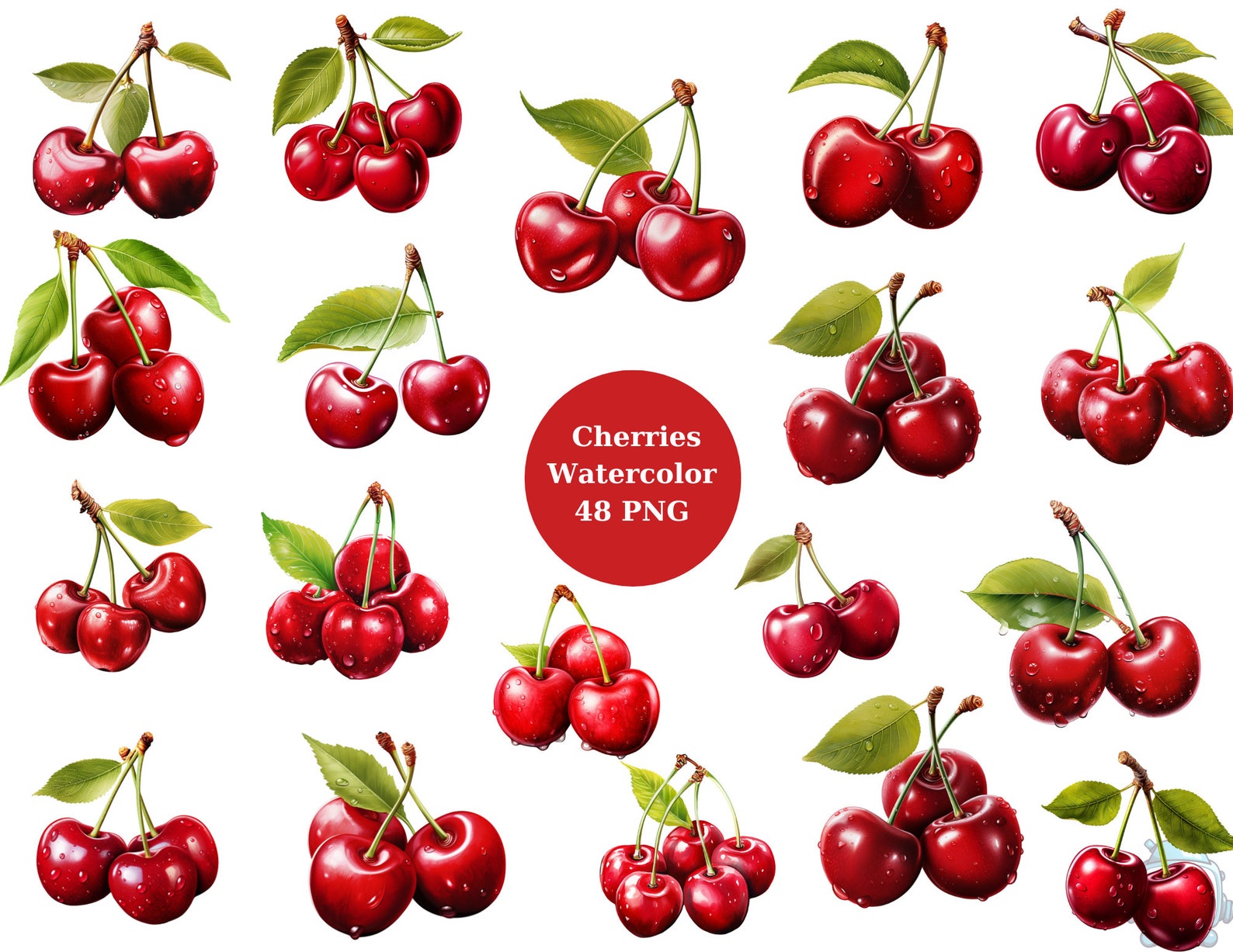 Watercolor 48 Cherries Clipart, PNG Individual Images on Transparent ...