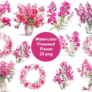 Watercolor Fireweed Floral in PNG for Commercial Use Instant Download ...