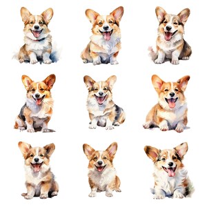 20 Adorable Corgi Watercolor Clipart, Cute Dogs Clipart, PNG Individual ...