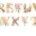Floral Gold Alphabet Watercolor , Transparent Background, High Quality ...