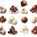Truffles Watercolor Clipart, Belgian Truffes Clipart, Chocolate PNG ...