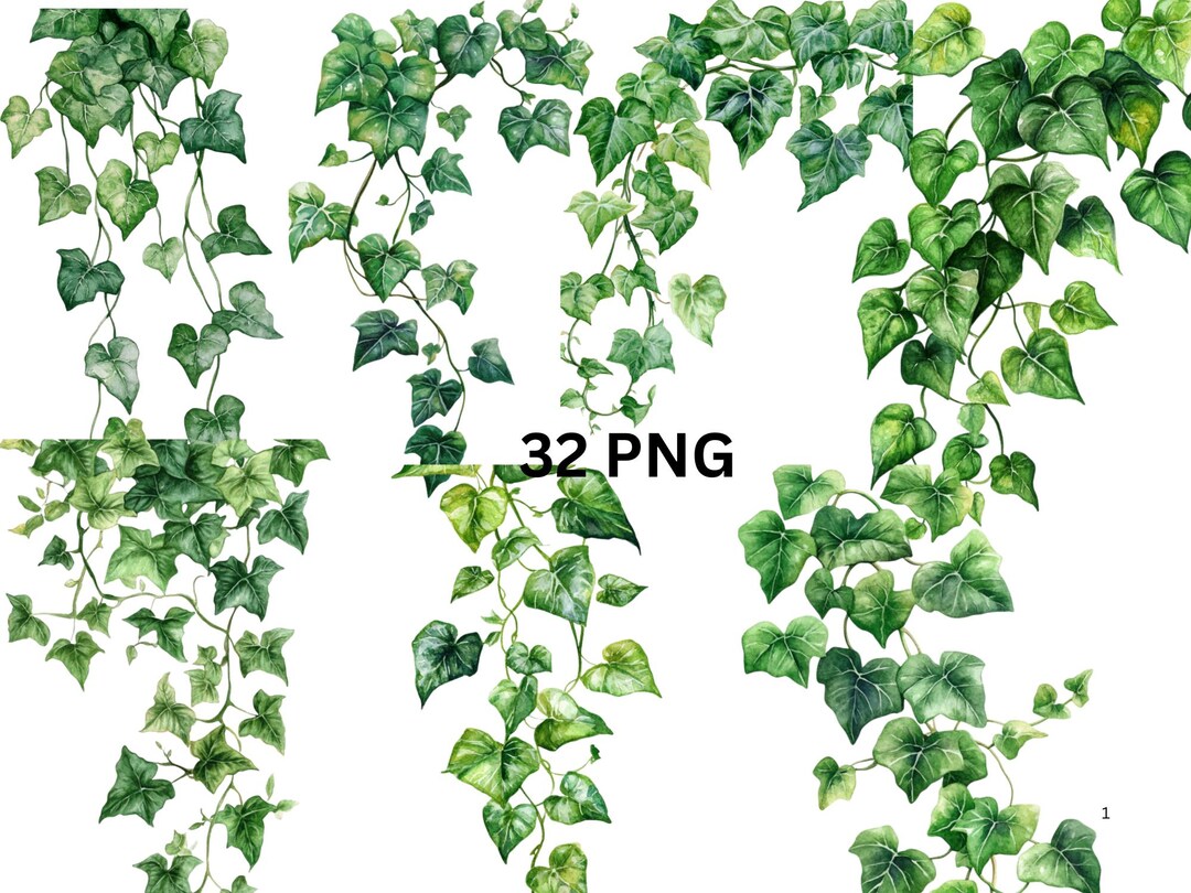 32 Green Ivy Leaves Watercolor Clipart, PNG Digital Files on ...