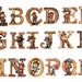 Watercolor Pirate Alphabet Clipart, PNG Digital Files on Transparent ...