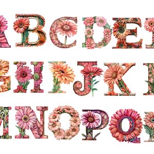 Gerbera Daisy Alphabet Watercolor Clipart, Floral Clipart, PNG ...