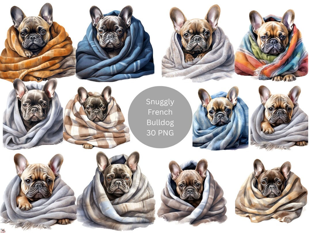 30 Snuggly French Bulldogs Watercolor Clipart, Dogs Clipart, PNG ...