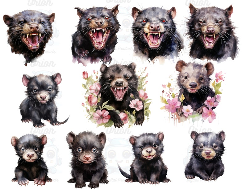 Watercolor Tasmanian Devil Clipart, PNG Digital Files on a Transparent ...