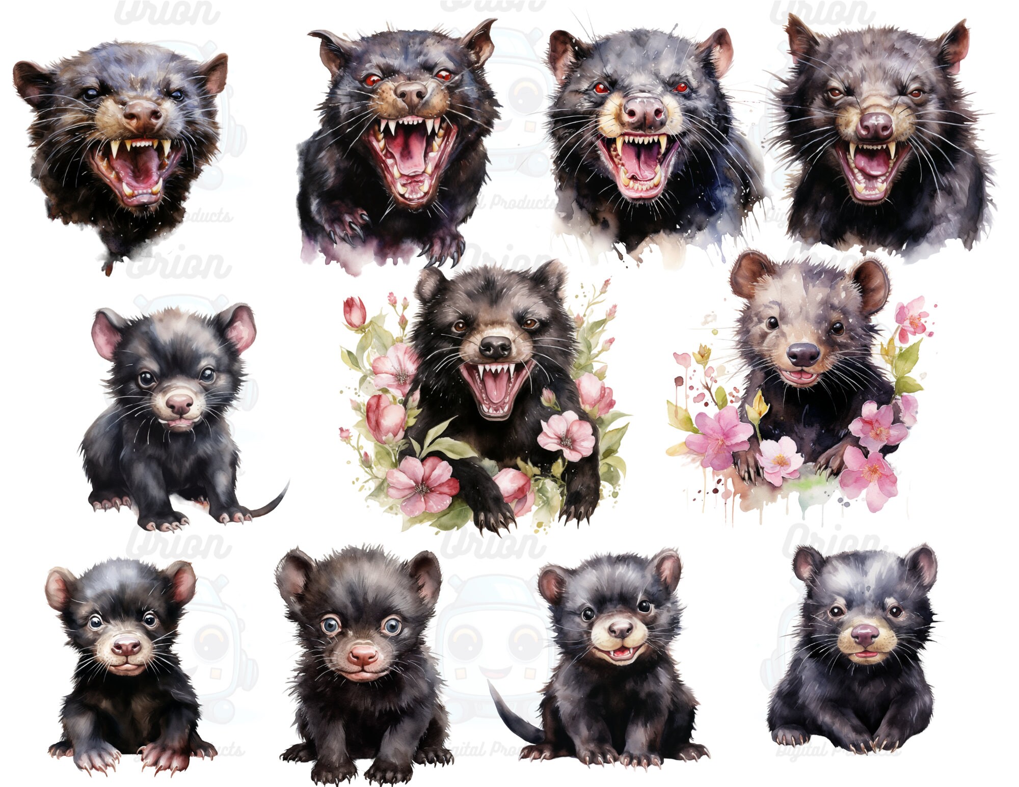 Watercolor Tasmanian Devil Clipart, PNG Digital Files on a Transparent ...