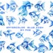 Watercolor Blue Fish Clipart, PNG Digital Files on Transparent ...