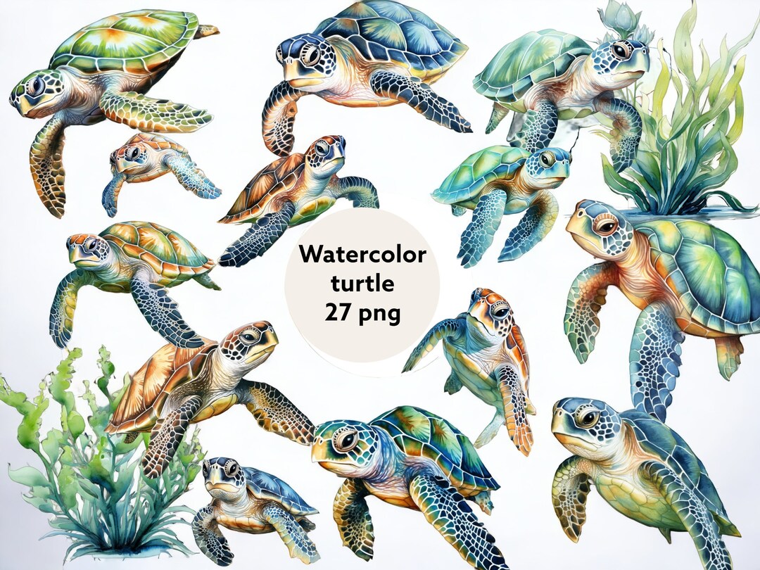 Watercolor Sea Turtle Clipart, Nautical Ocean Animals PNG Instant ...