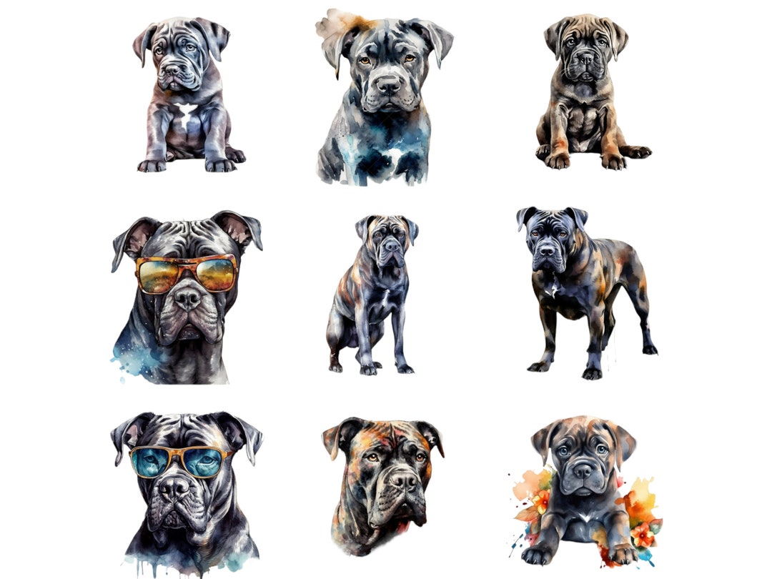 Watercolor Cane Corso Dogs Clipart, PNG Images, Junk Journal, Paper ...