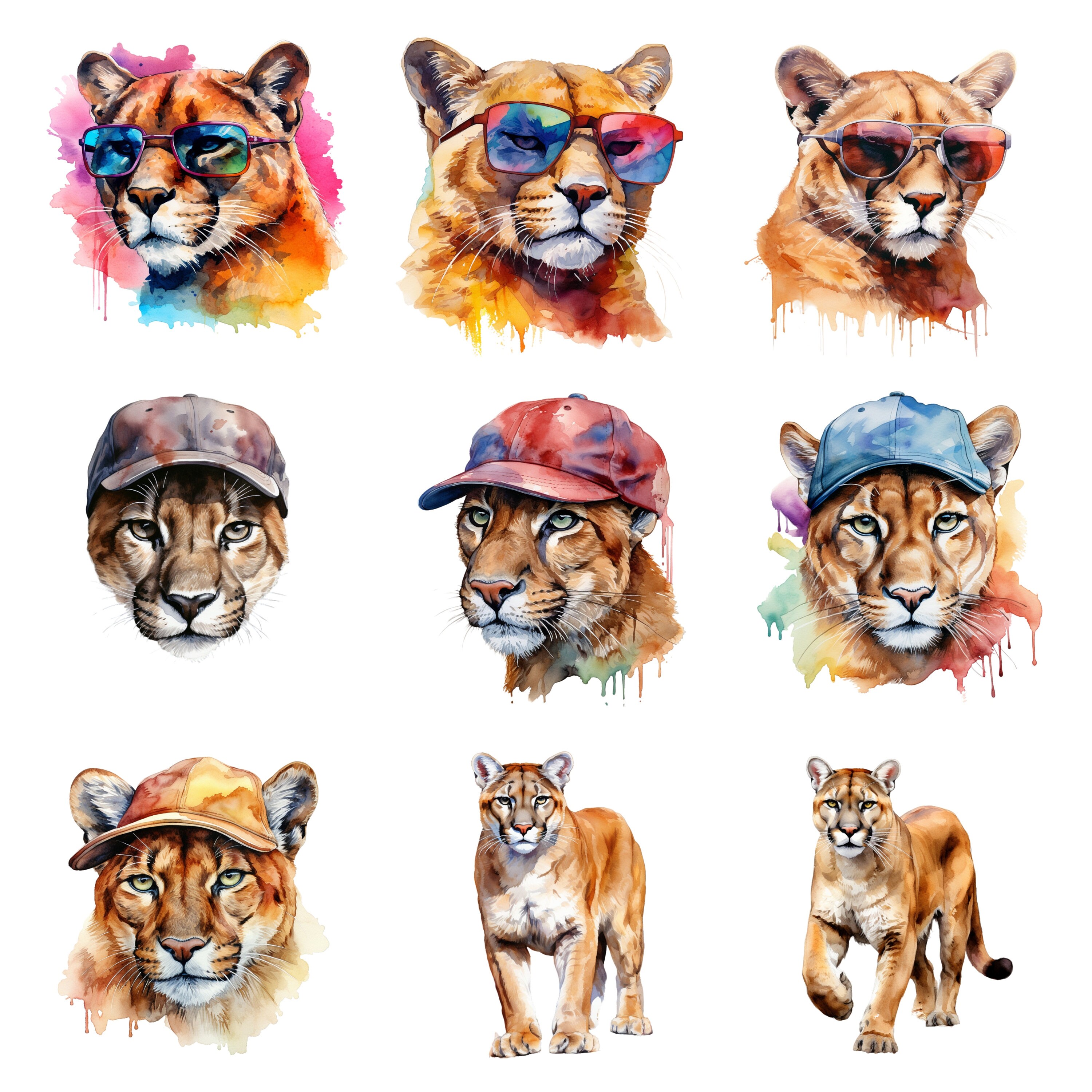 Watercolor Pumas Clipart PNG Digital Files on Transparent - Etsy