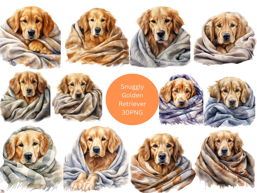 30 Snuggly Golden Retrievers Watercolor Clipart, Pets Clipart, PNG ...