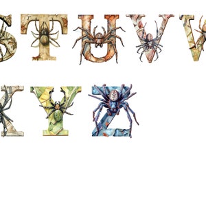 Spider Alphabet, Letters Png, Alphabet Png, Instant Download for ...