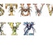 Spider Alphabet, Letters Png, Alphabet Png, Instant Download for ...
